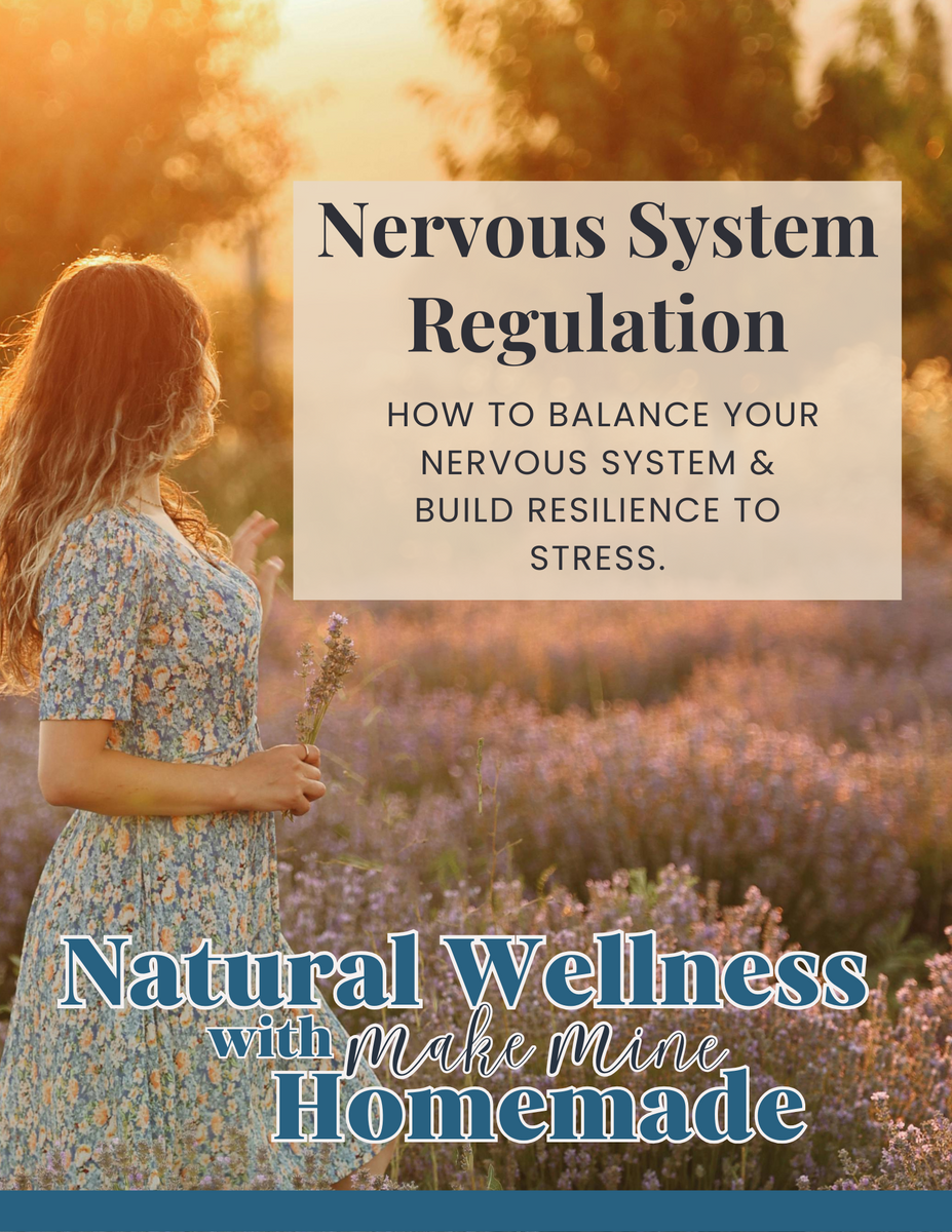 Nervous System Regulation Guide – MakeMineHomemade